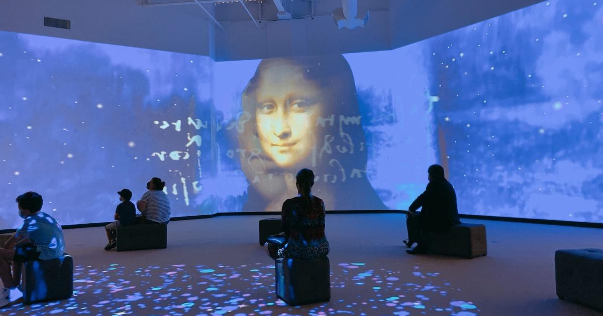 Art and Science Come to Life in the Immersive Da Vinci Experience ...