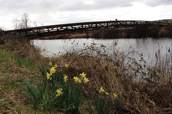 Exit the Fast Lane – Stroll Through Colony Farm | Destination Vancouver