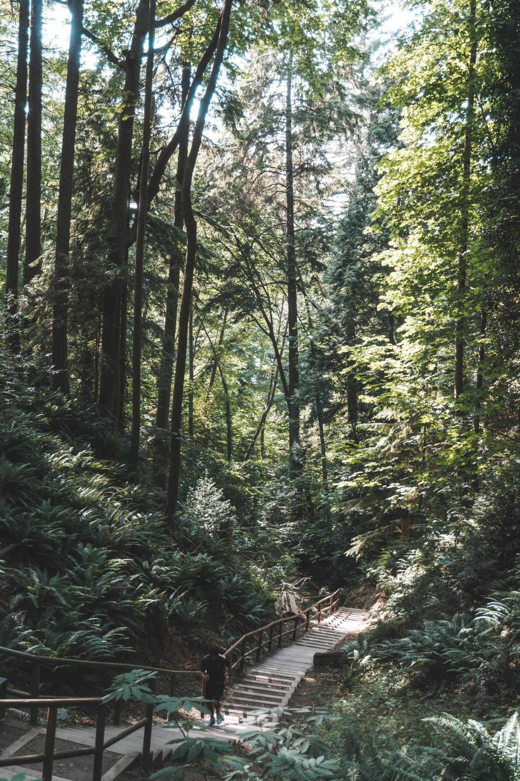 9 Things to do in Pacific Spirit Regional Park | Destination Vancouver
