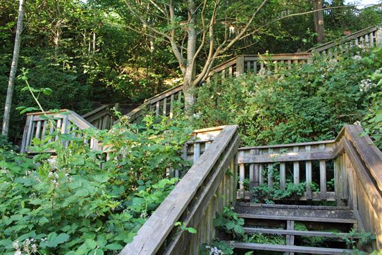 Stepping Out at 1001 Steps | Destination Vancouver