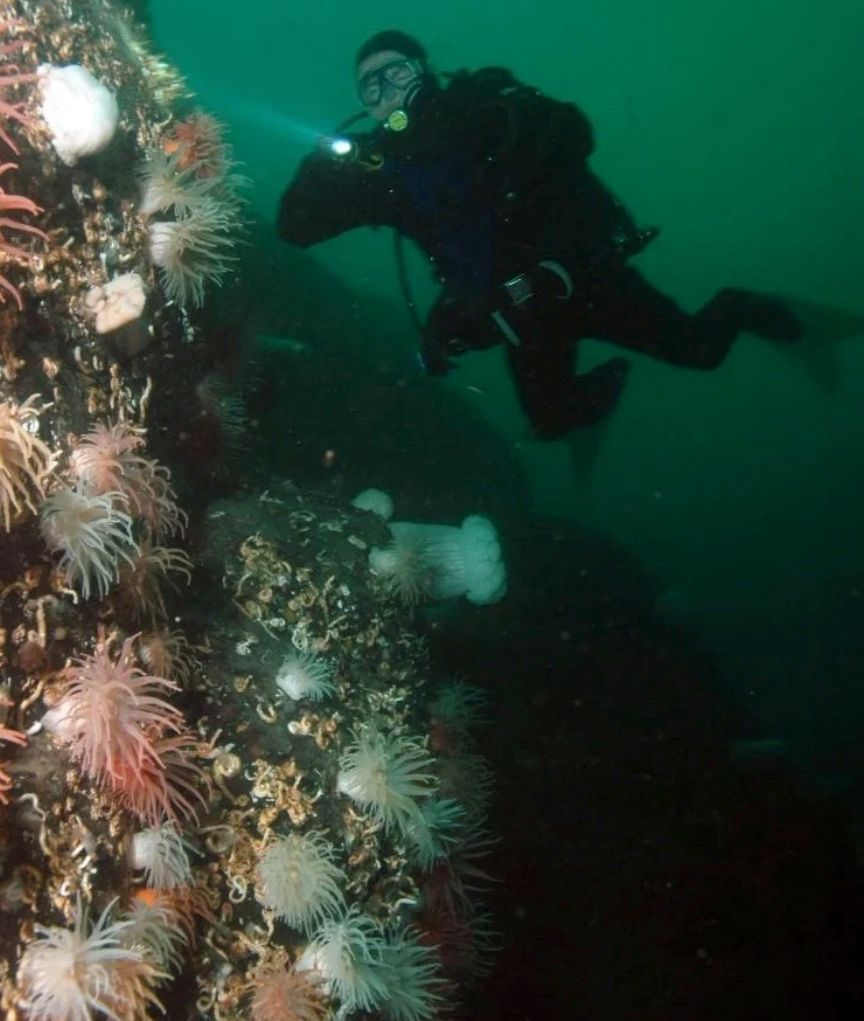 7 Ways to Explore Átl’ka7tsem / Howe Sound UNESCO Biosphere Region ...