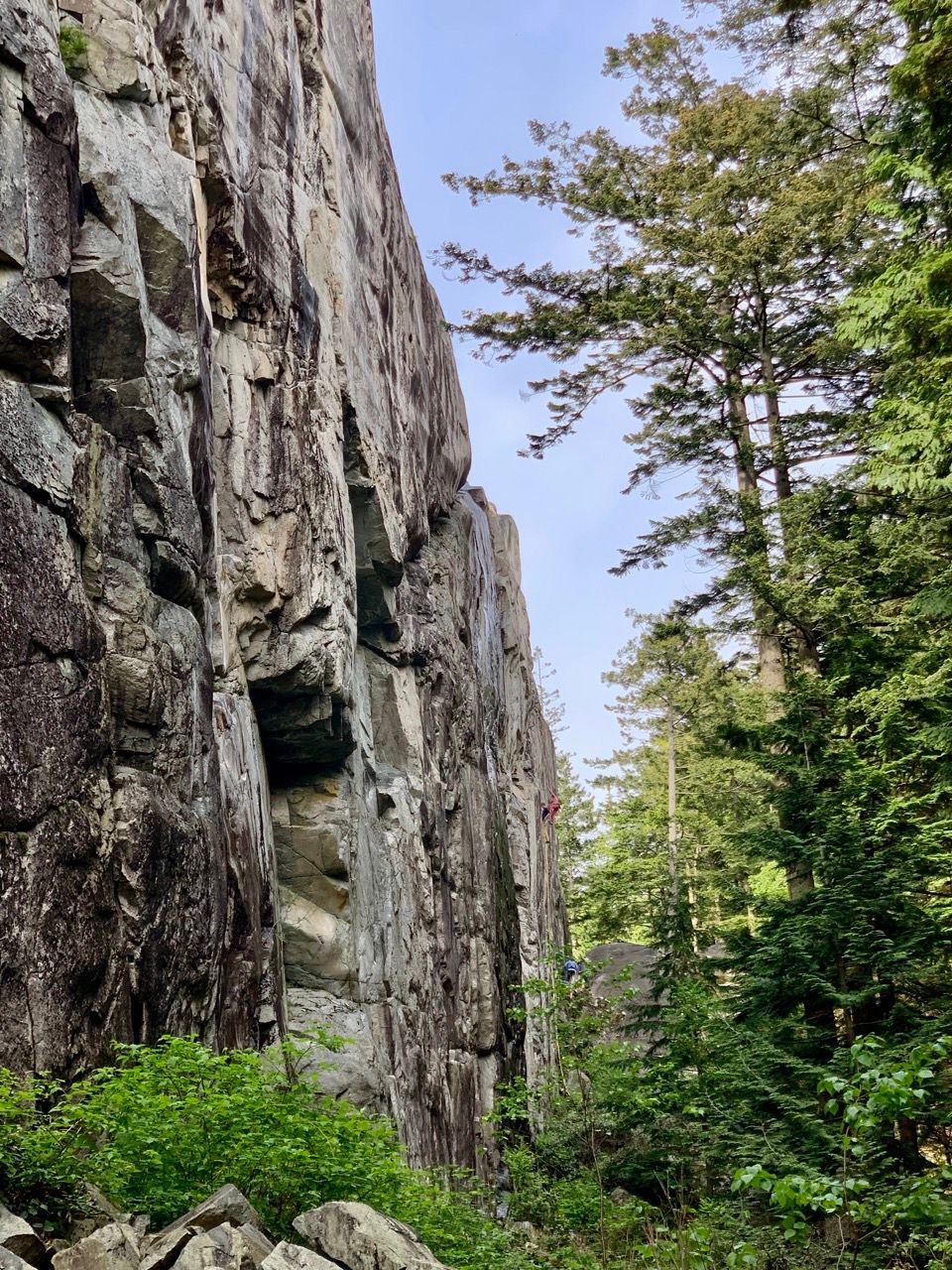 March 2023 Vancouver Hike of the Month: Murrin Park Loop | Destination ...