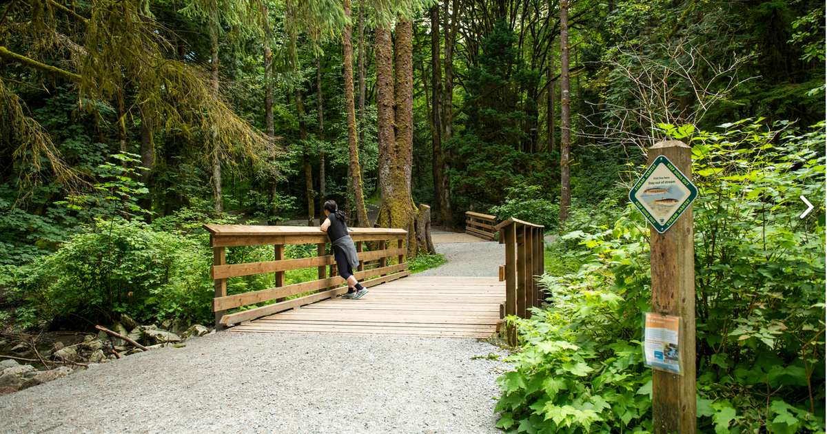 5 Things to Do at Tynehead Regional Park | Destination Vancouver