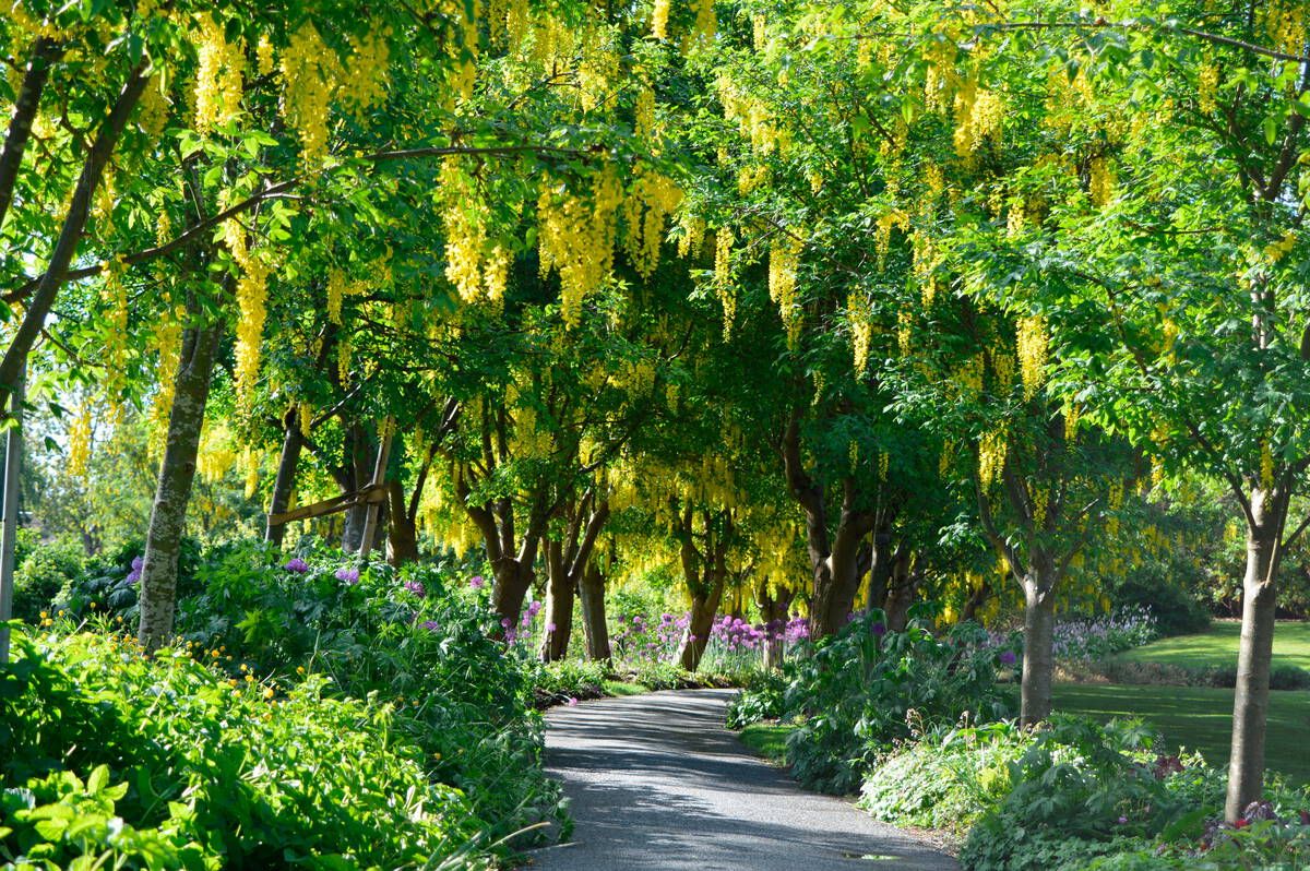 VanDusen Botanical Garden Visitor Guide | Destination Vancouver