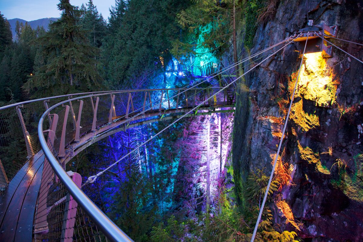 Canyon Lights at the Capilano Suspension Bridge Light up the North ...