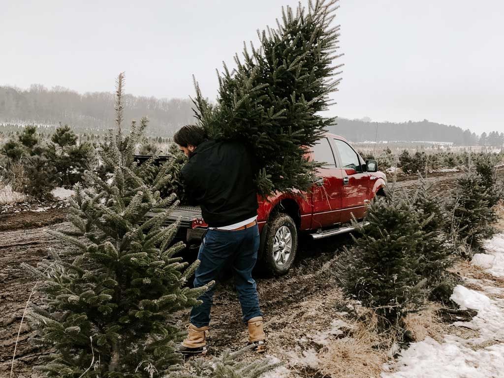 11 Places to Cut Your Own Christmas Tree Near Vancouver in 2023 Destination Vancouver