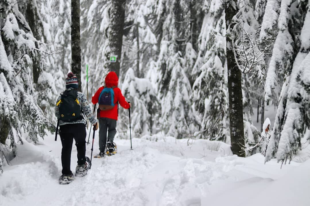 A Beginner’s Guide to Exploring the Snow in Vancouver | Destination ...