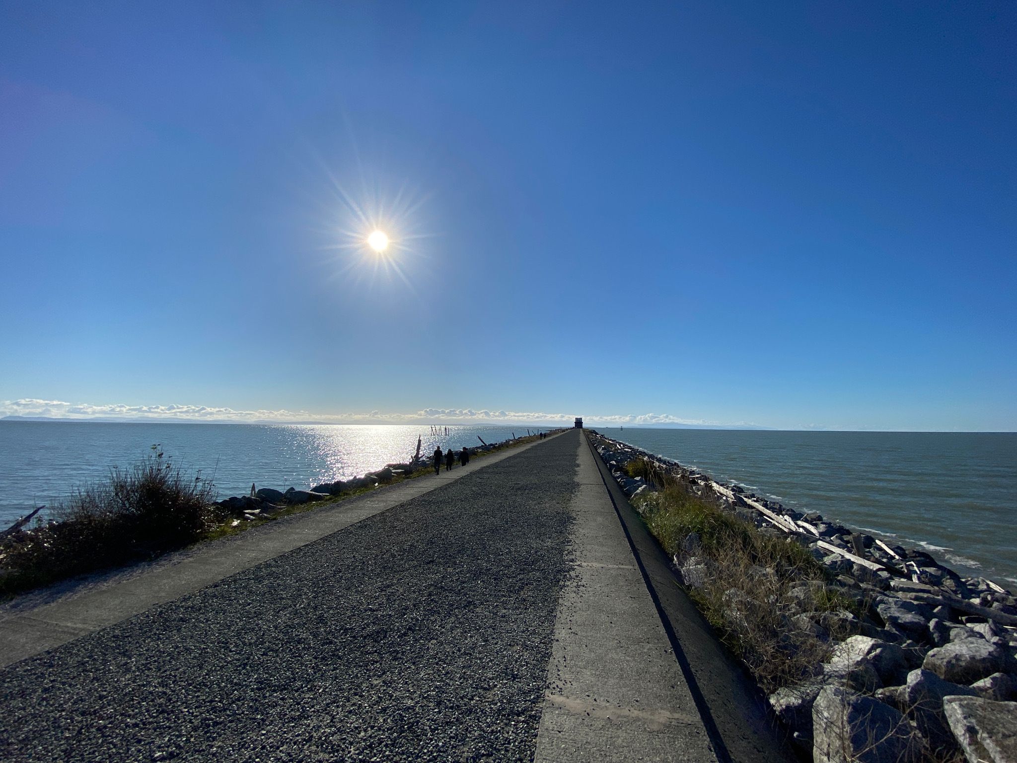 7 Things To Do at Iona Beach Regional Park | Destination Vancouver