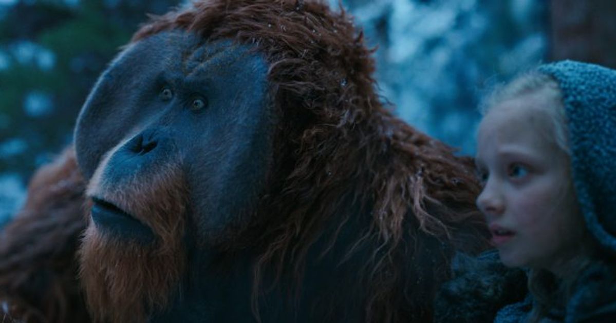 Vancouver actor Karin Konoval learns from orangutans for her Planet of ...