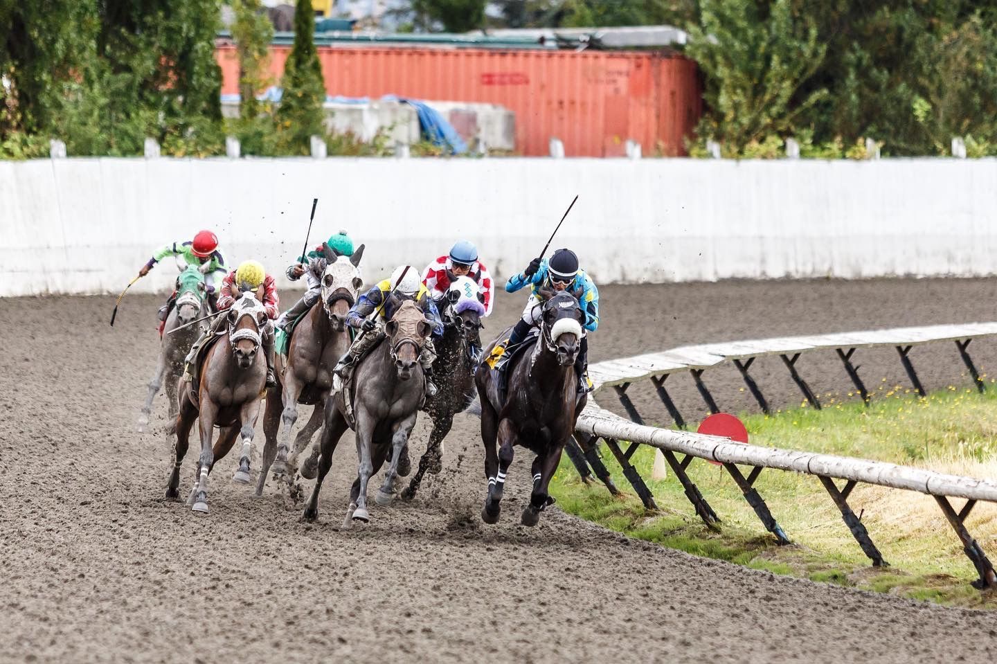 Spend A Day at the Races for The Cup at Hastings Racecourse ...