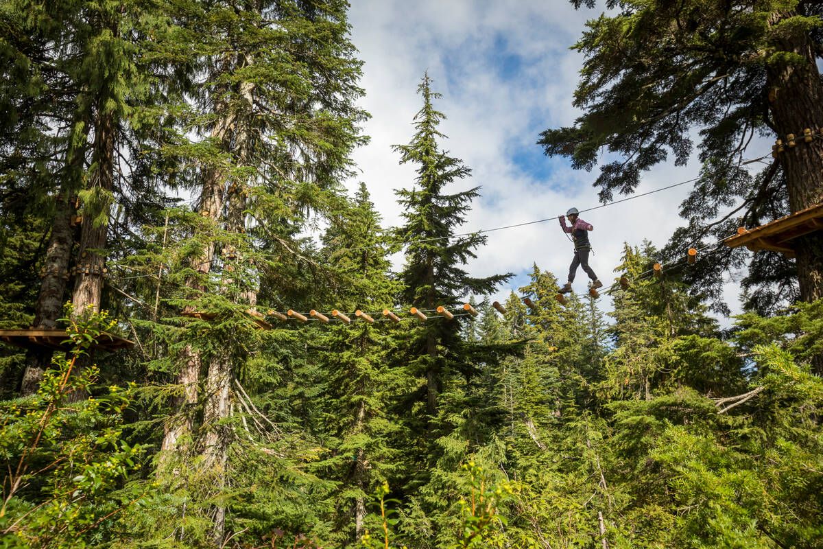 8 Things to Do at Grouse Mountain in the Summer | Destination Vancouver