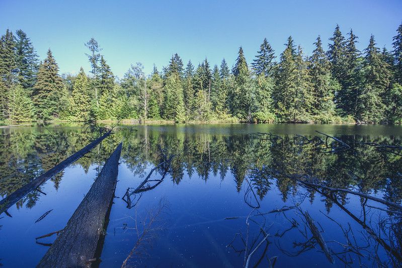 7 Things To Do at Mundy Park in Coquitlam | Destination Vancouver