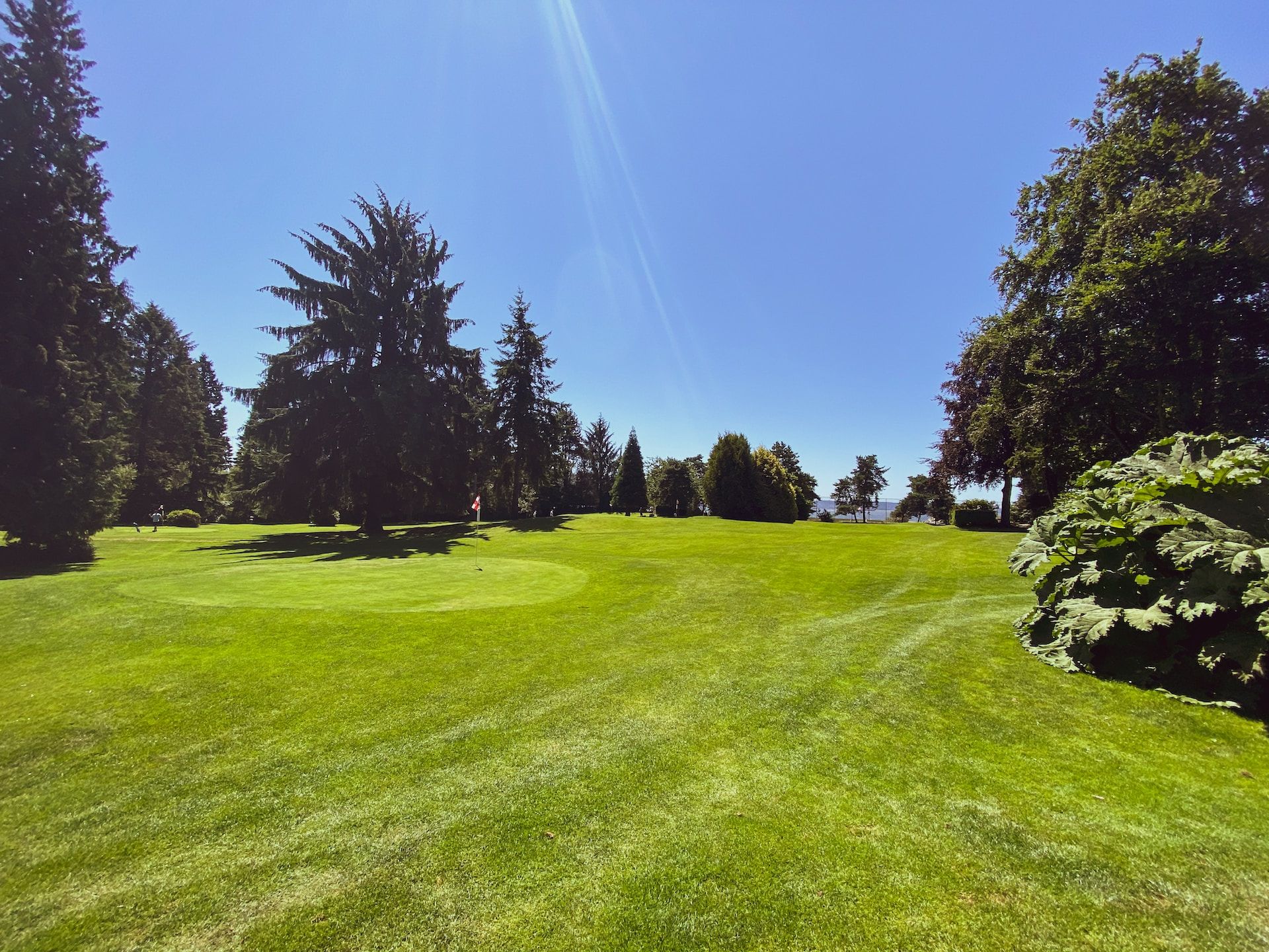 8 Things to Do at Ambleside Park | Destination Vancouver