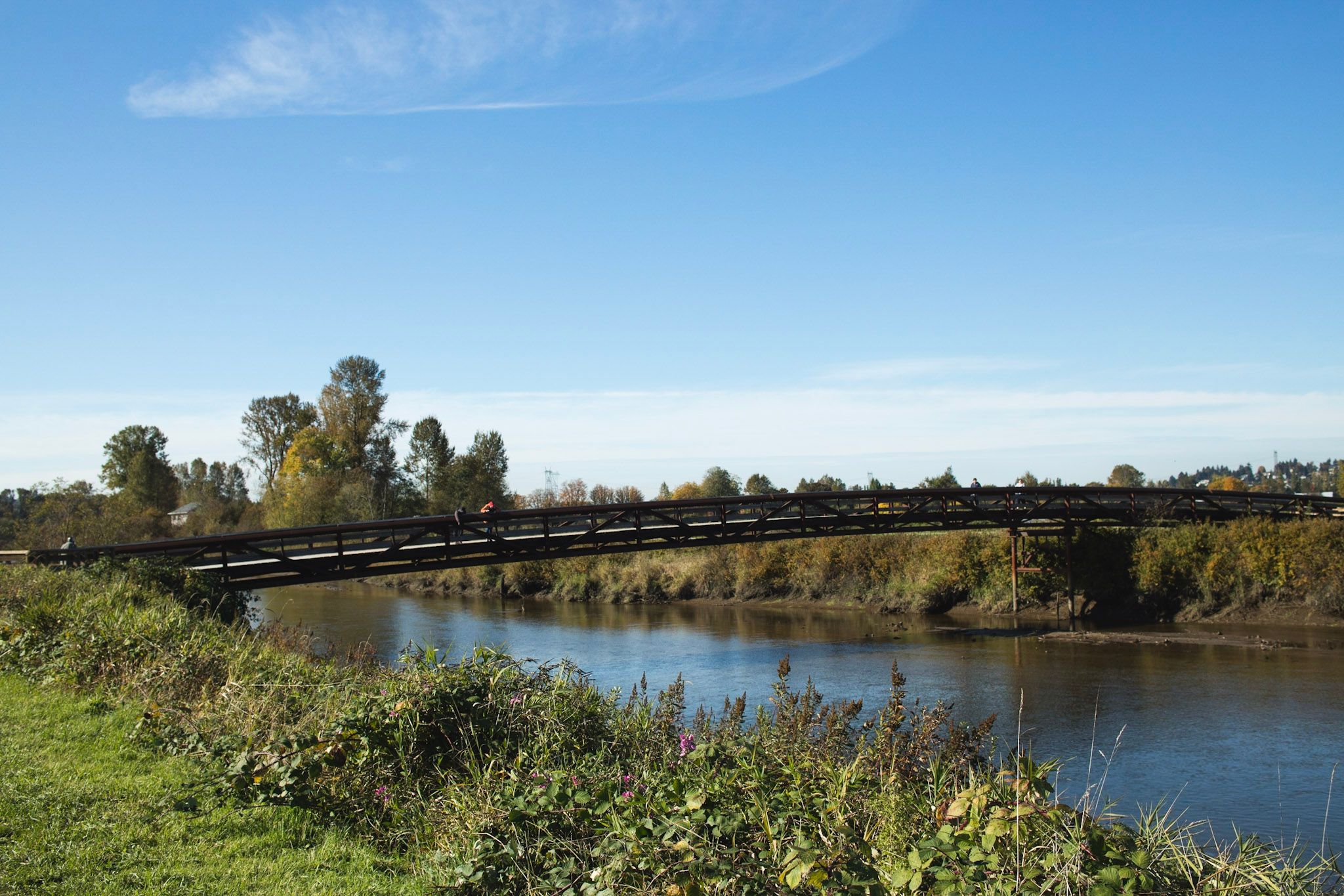 7 Things to Do at Colony Farm Regional Park | Destination Vancouver