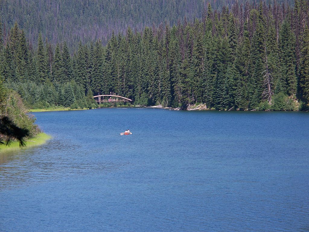 8 Things to Do at E.C. Manning Provincial Park in the Summer ...
