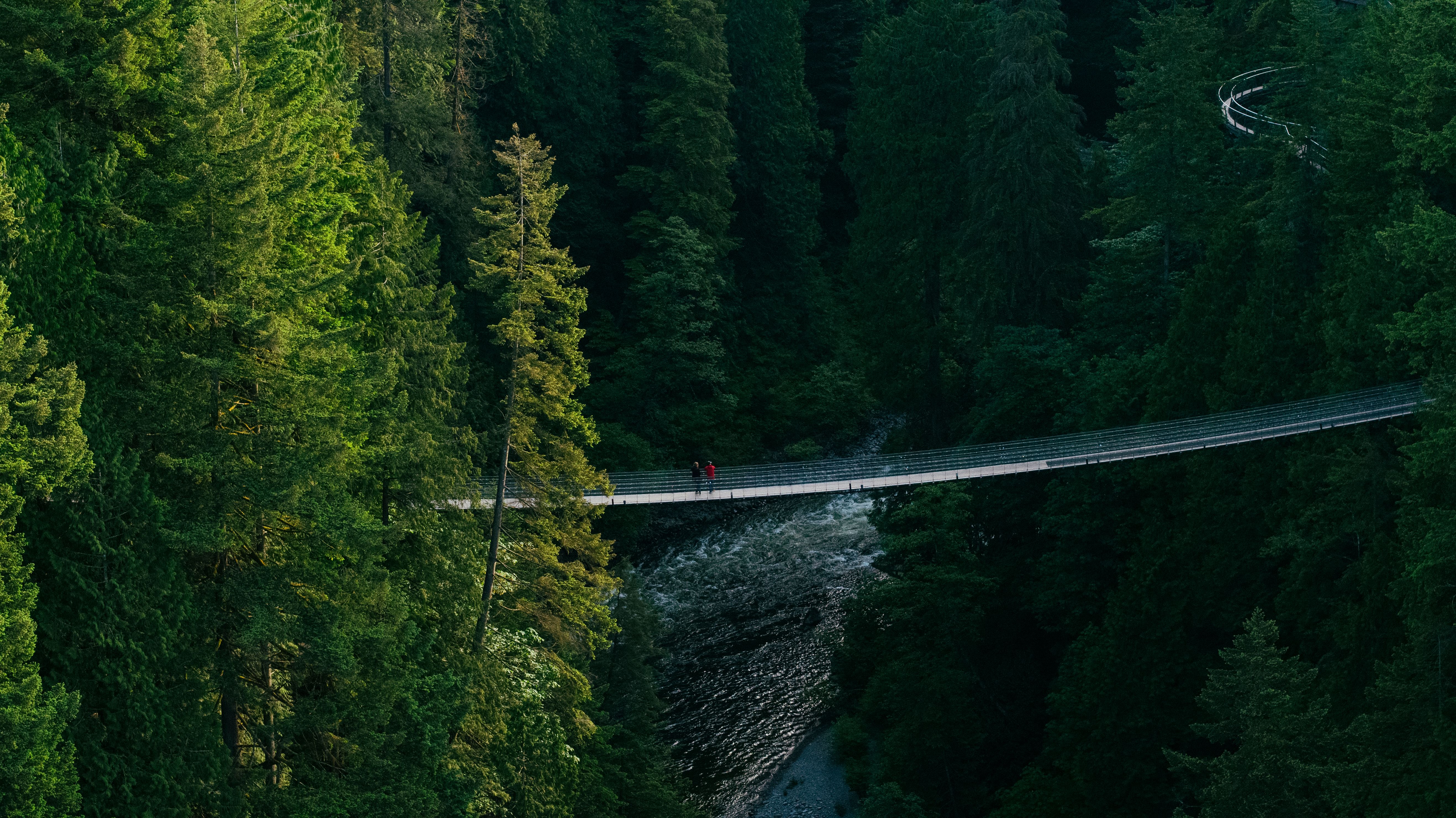 Capilano Suspension Bridge Park | Destination Vancouver