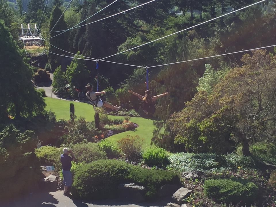 Permanent zip line could be coming to a Vancouver park this spring ...