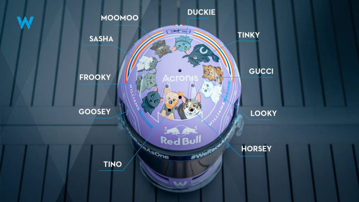 Everything you need to know about Albon Pets! | Williams Racing