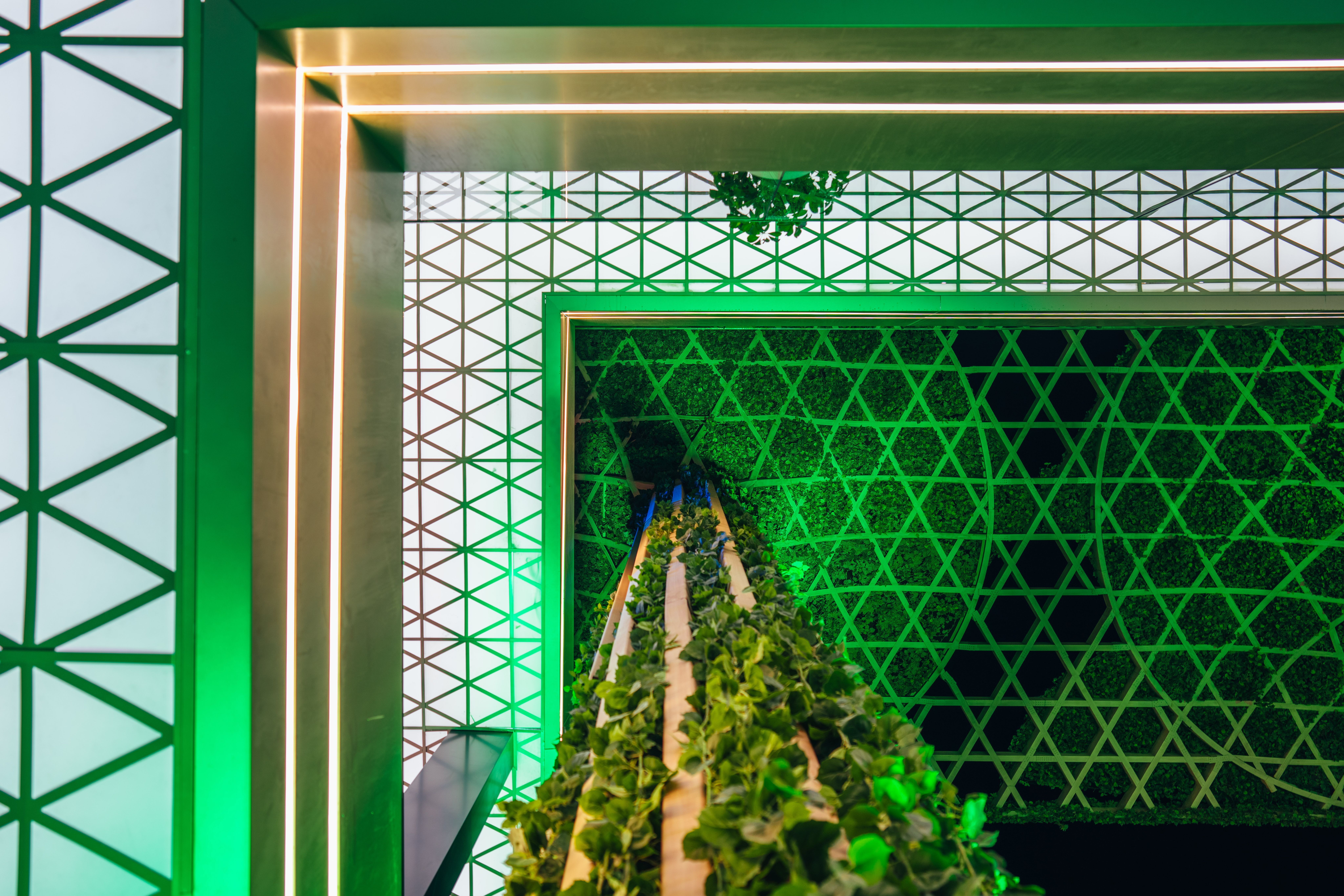 In Photos: Jeddah through our lens | Williams Racing