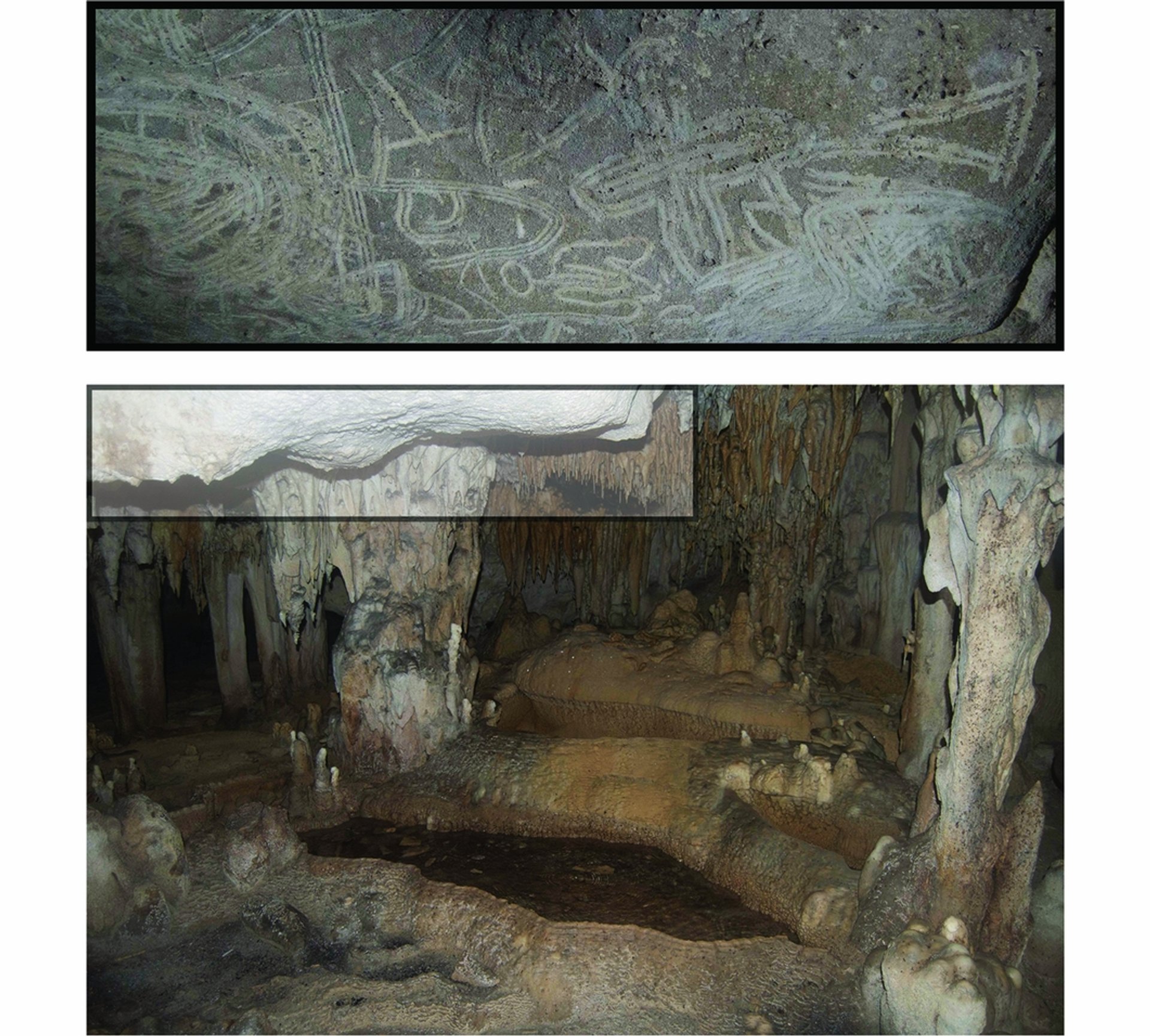 What's Your Map? Jago Cooper, Jerry Brotton, Cave Art