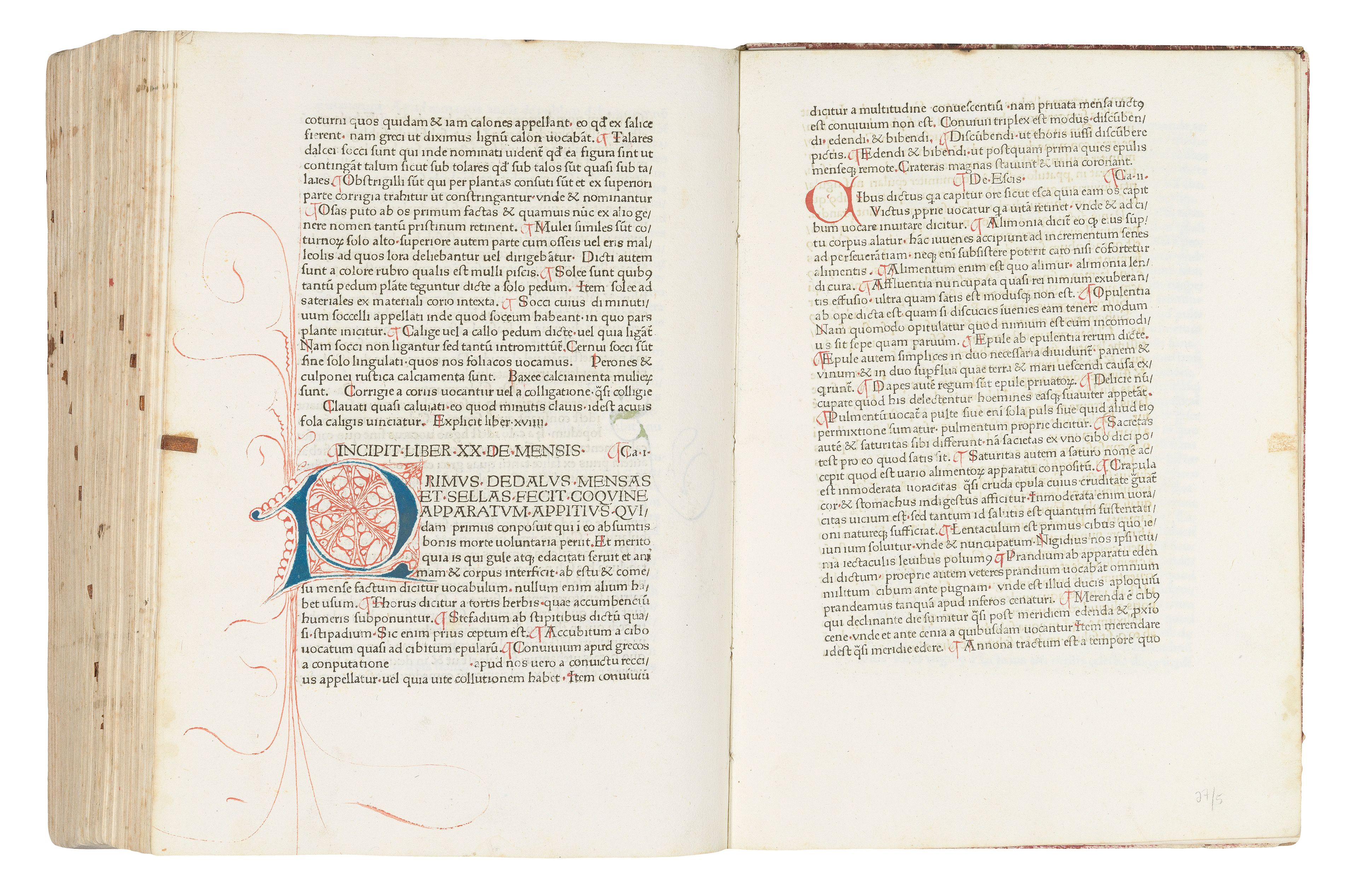 Rubricate; Rubricated | Oculi Mundi