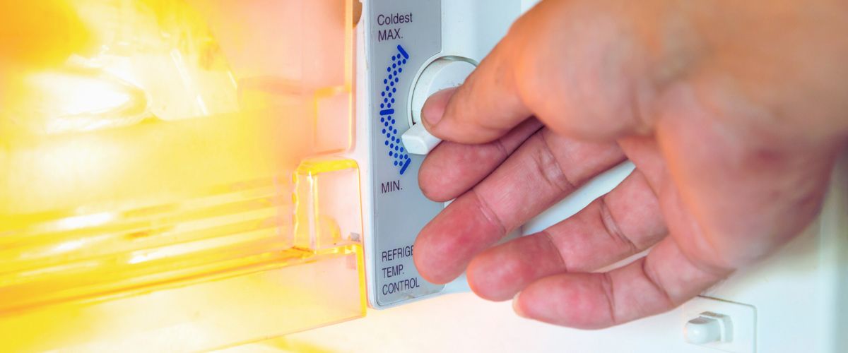 Maximizing Food Freshness: The Optimal Refrigerator and Freezer ...