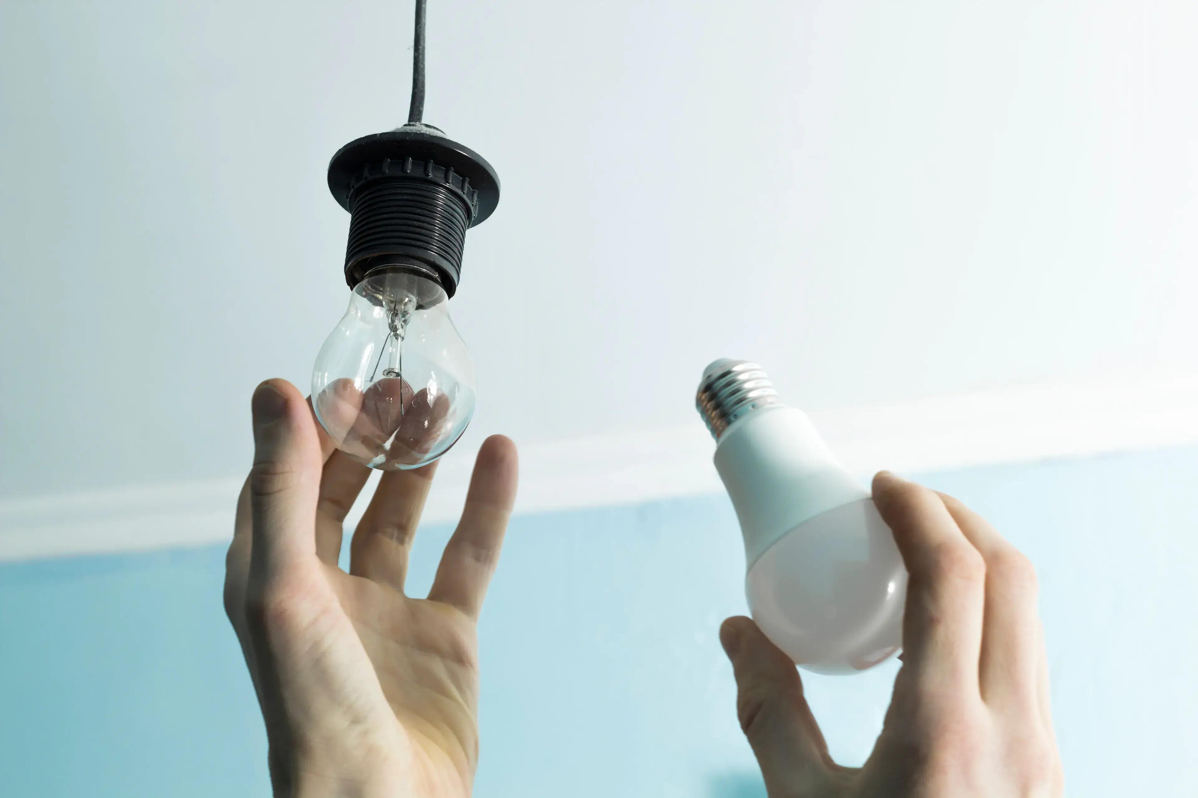 Top 4 Best Energy-Efficient Light Bulbs - HomeAlliance
