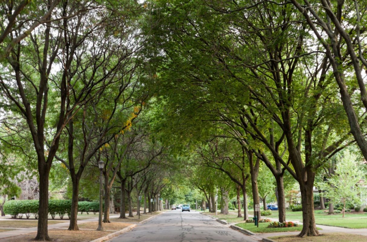 Find services available in River Forest on HomeAlliance - HomeAlliance