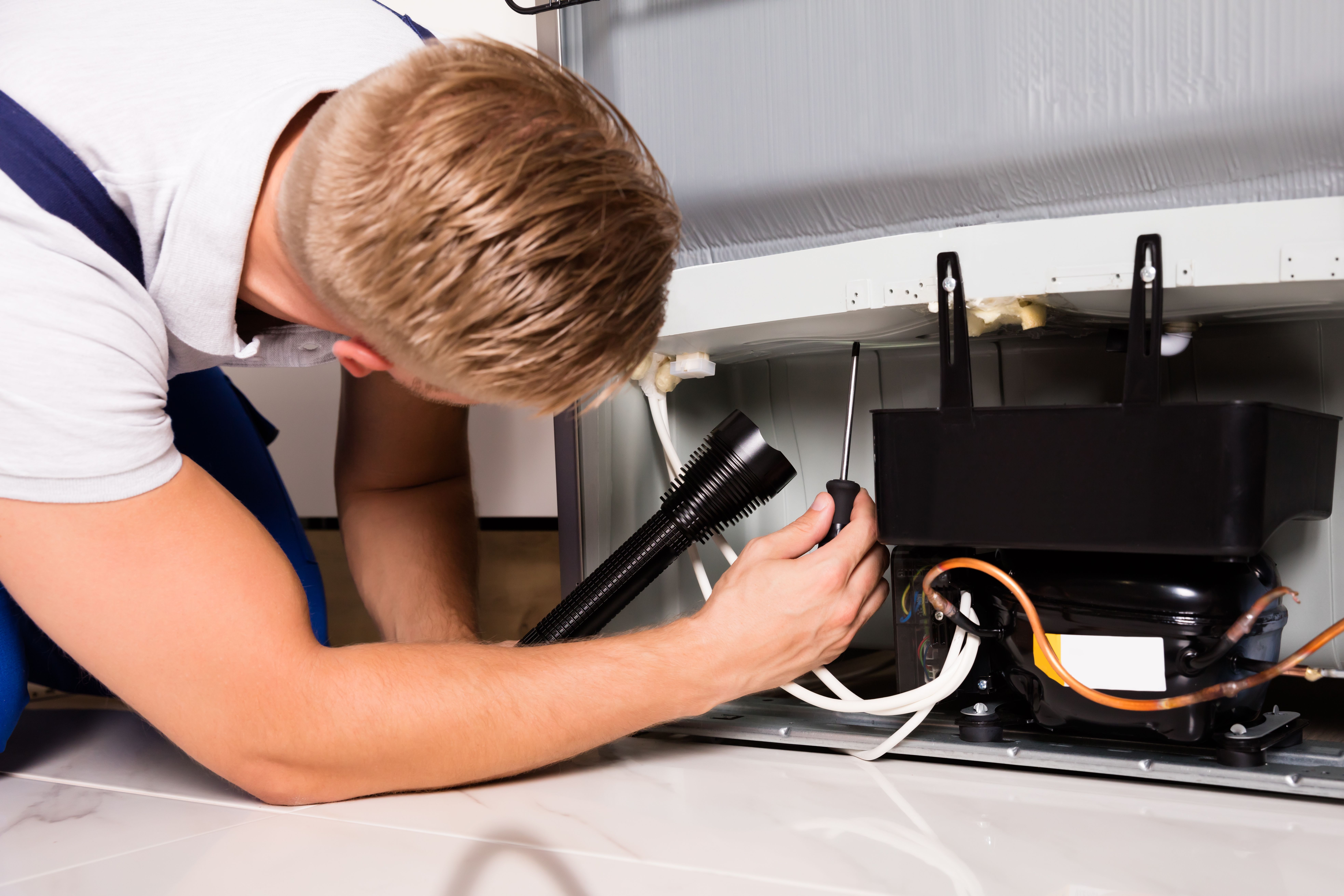 Top Tips for Refrigerator Repair in Spring - HomeAlliance