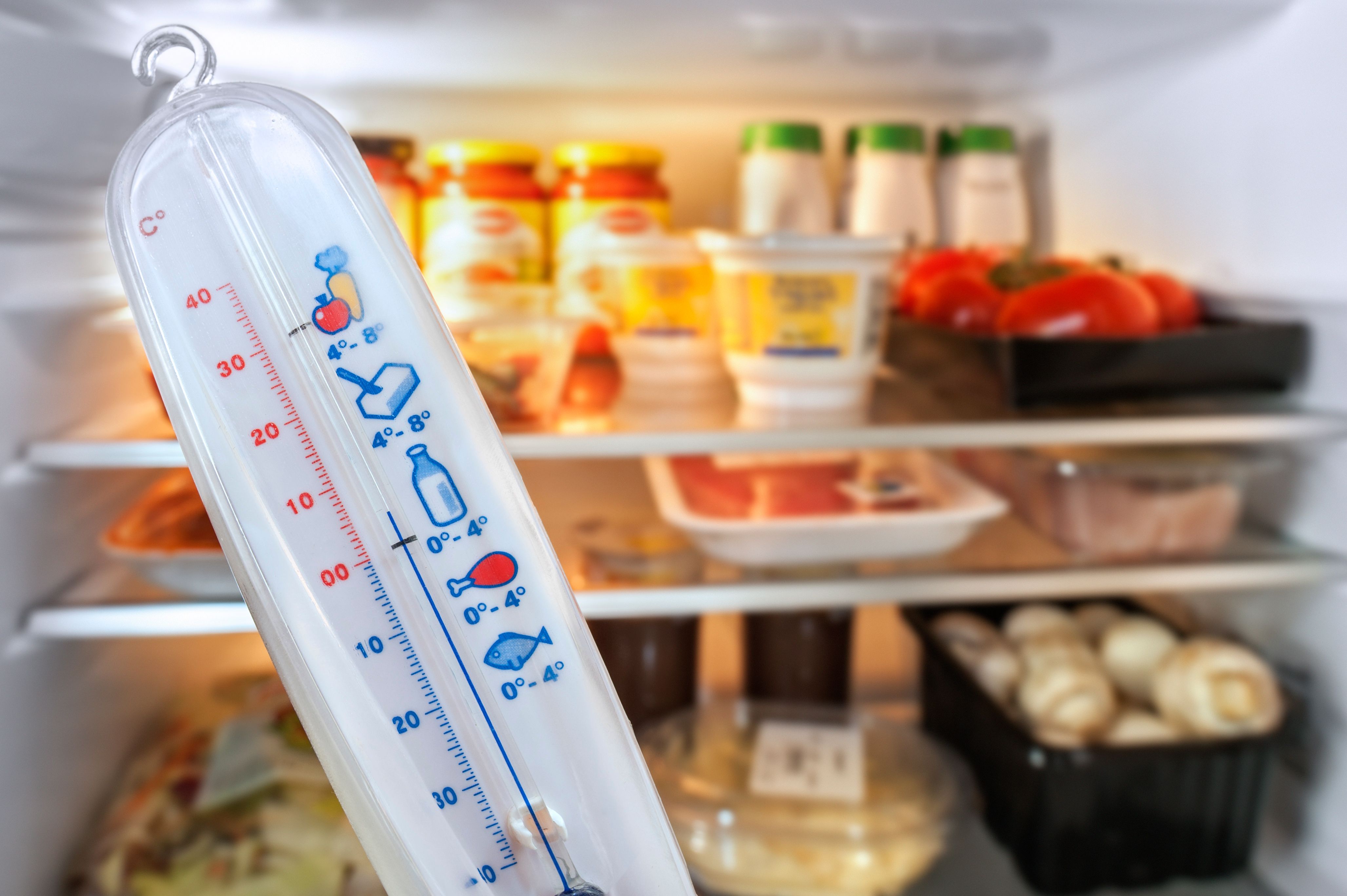 Choosing the right kitchen thermometers for safe cooking - HomeAlliance