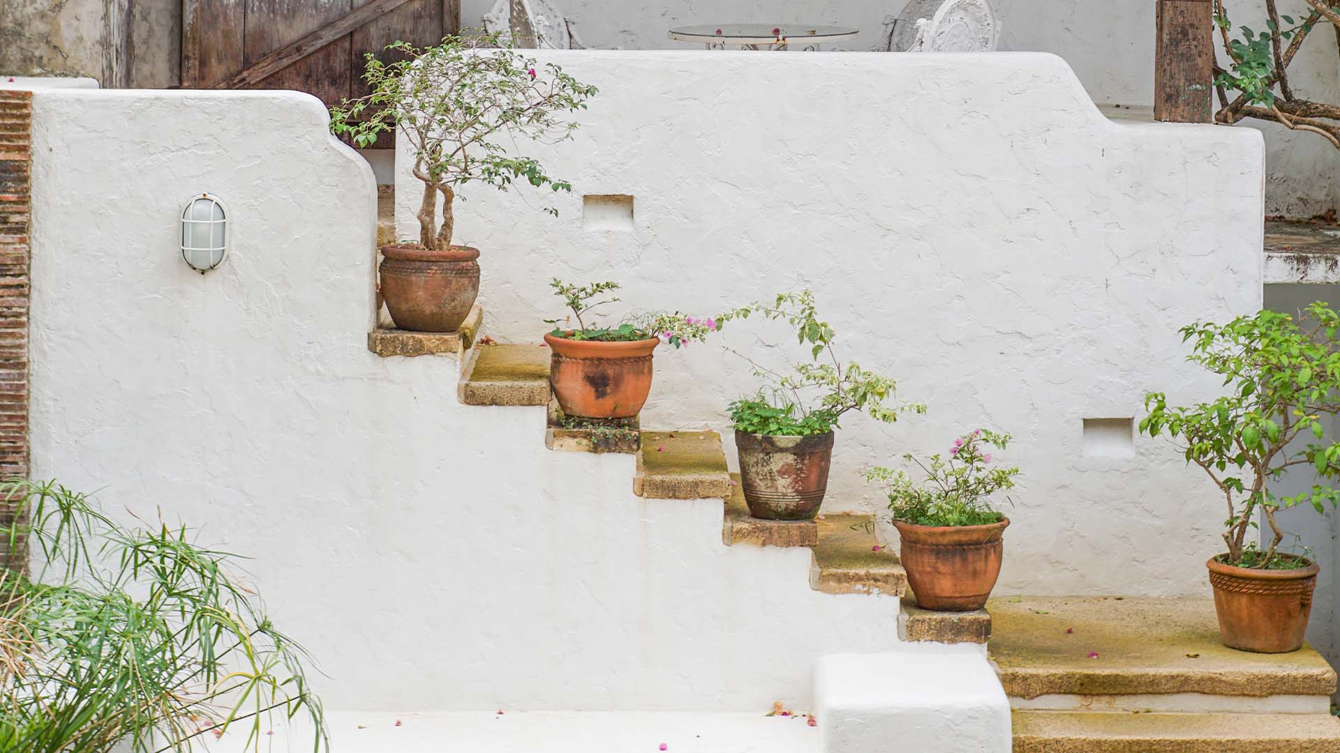 Container Gardening: How to plant up a pot - Sproutl