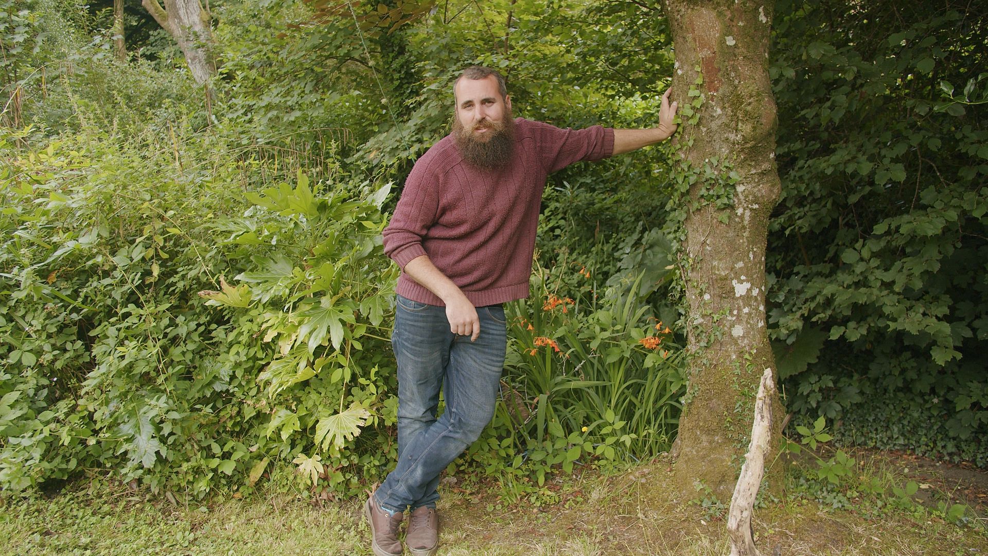 Sam Says: How to Support Your Plants - Sproutl