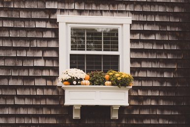 What's Happening on ACK this Fall?