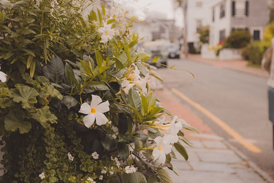 Fall Festivities in Nantucket: Celebrate the Season in Style