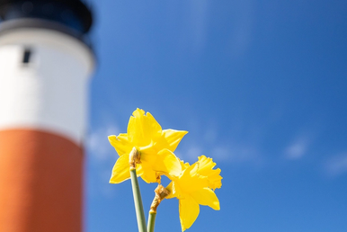 10 Reasons Why You Should Visit Nantucket This Spring