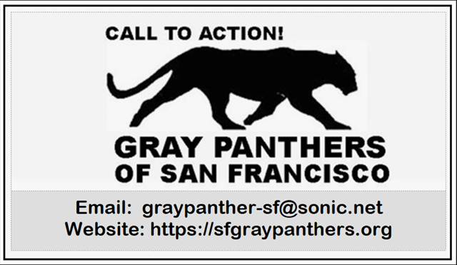 SF GRAY PANTHERS
