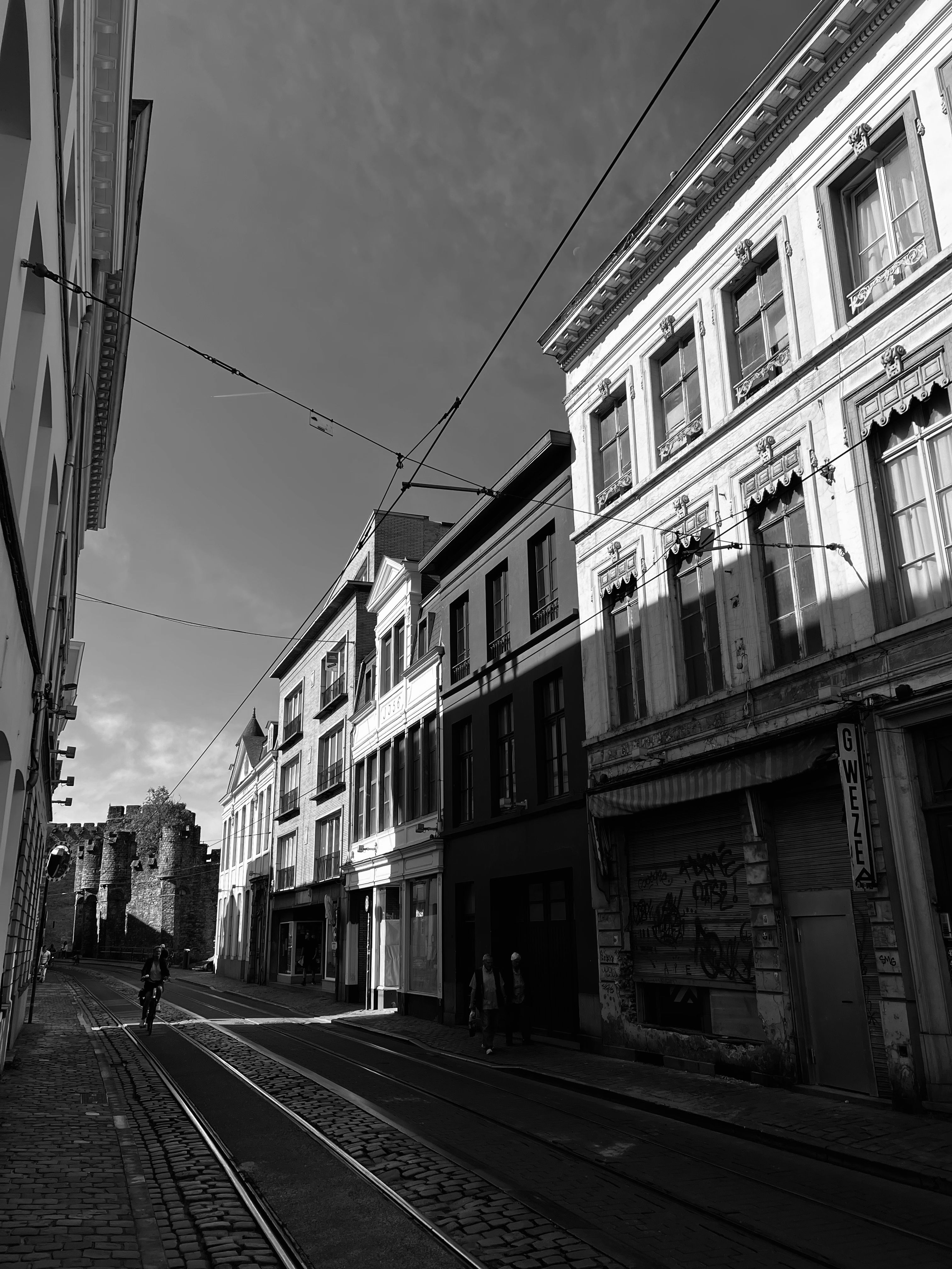 Leonard | Compagnie Delens