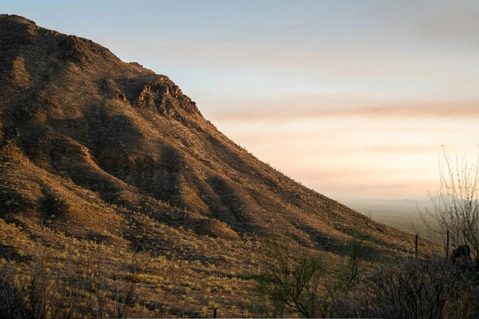 Airbnb Tucson, Arizona: Market Data, Laws & Investor Guide | BNBCalc