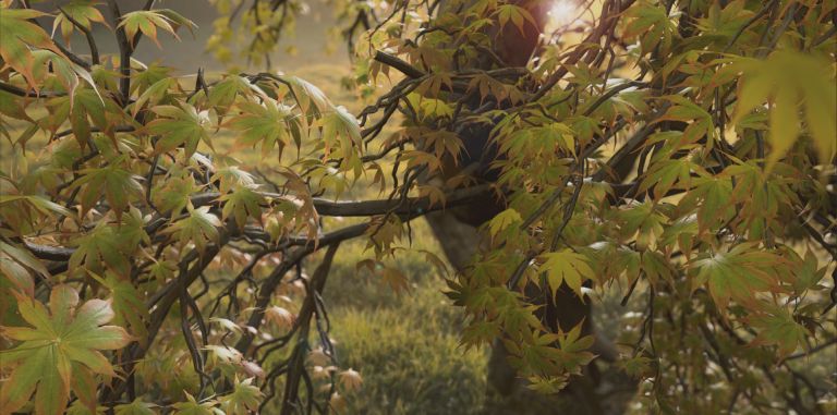 SpeedTree | 3D Vegetation Modeling | Unity