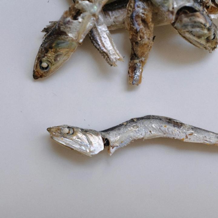 Anchovy and Dashima | merearchive