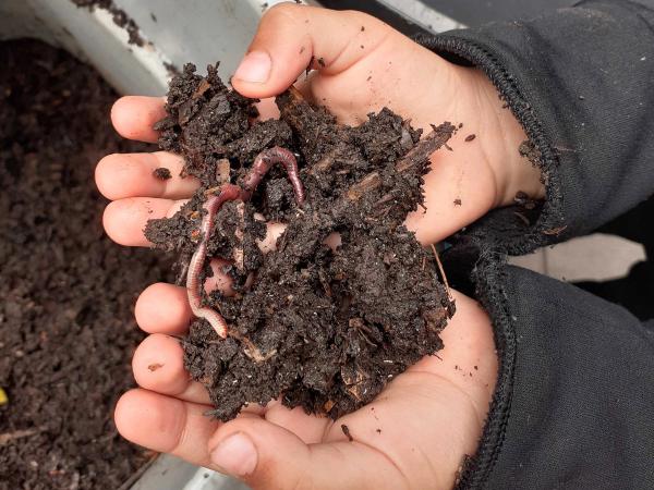 How to Compost | Compost Culture
