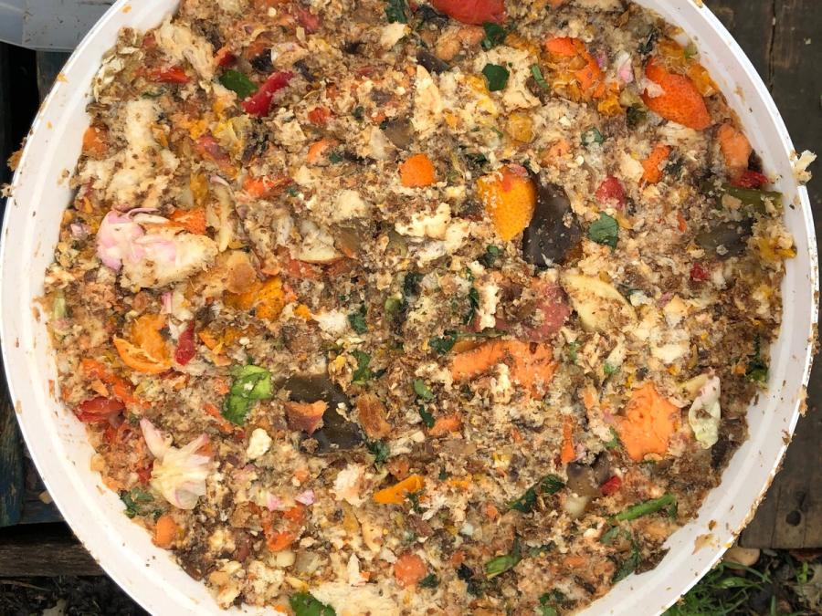Case Studies | Compost Culture