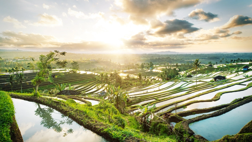 Bali Holiday Packages | Jetstar Holidays