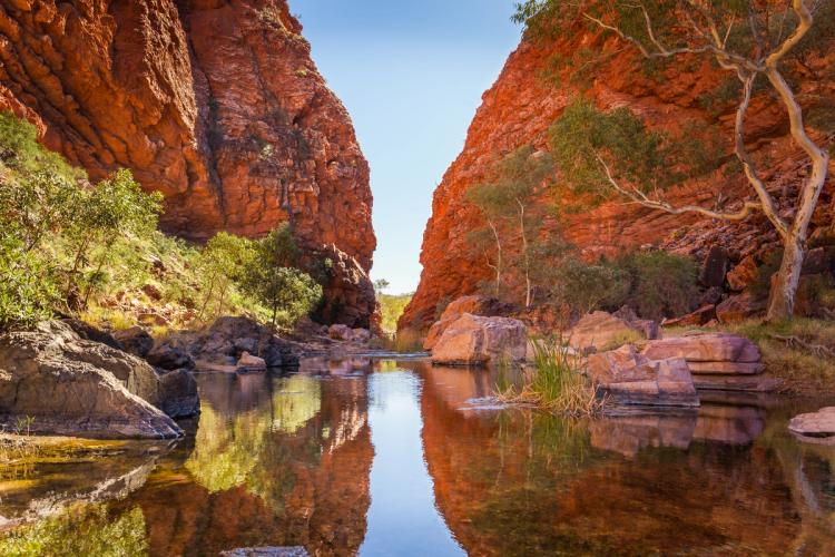 Alice Springs Holiday Packages | Qantas Holidays