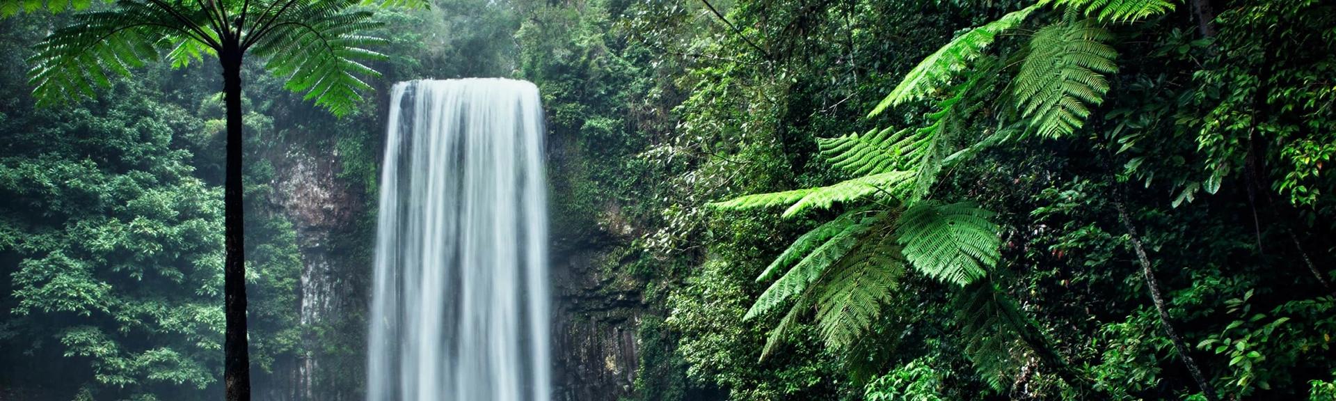 Cairns Holiday Packages | Qantas Holidays