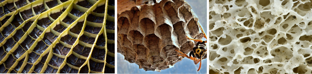 Lightweighting with materials inspired by nature | nTop