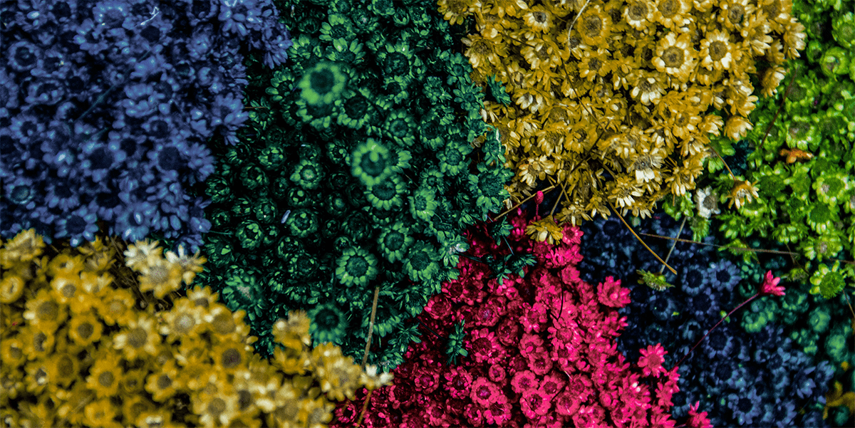 How DNA may affect your seasonal allergies | Helix