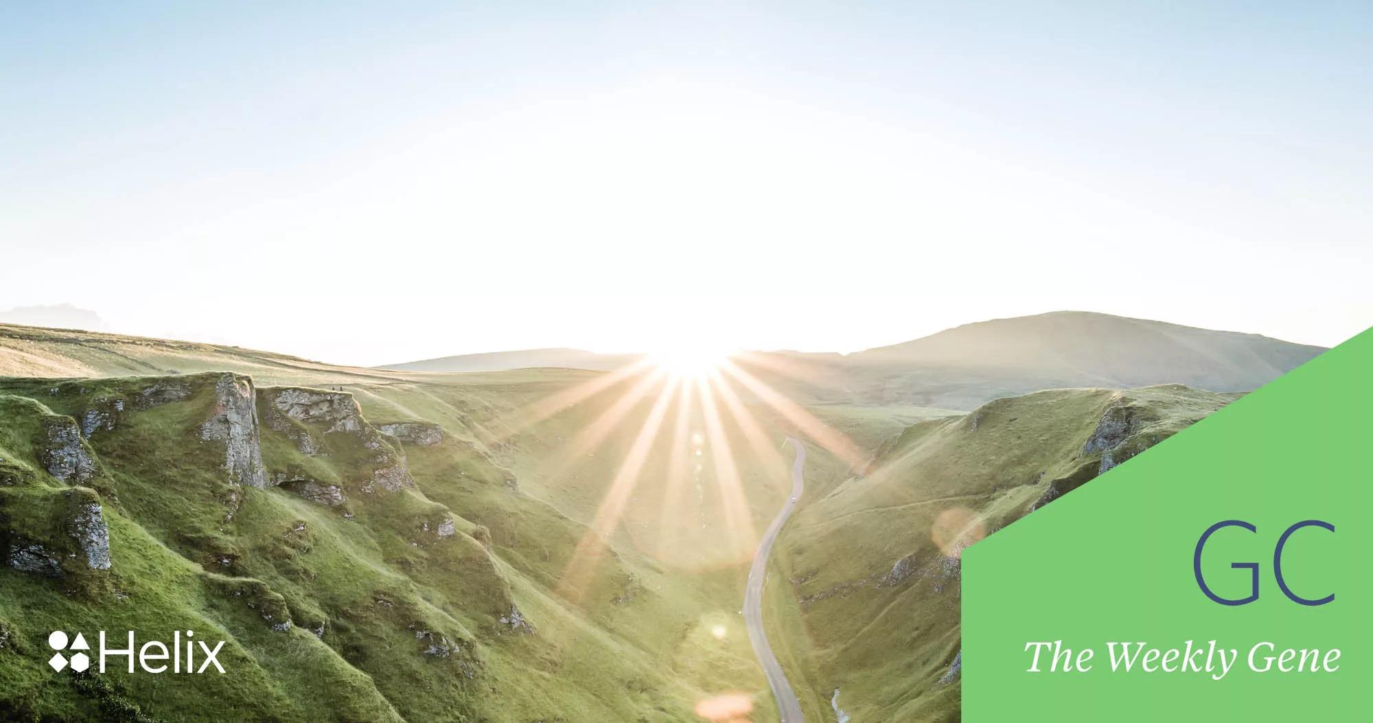 How one gene helps link sunlight to strong bones | Helix