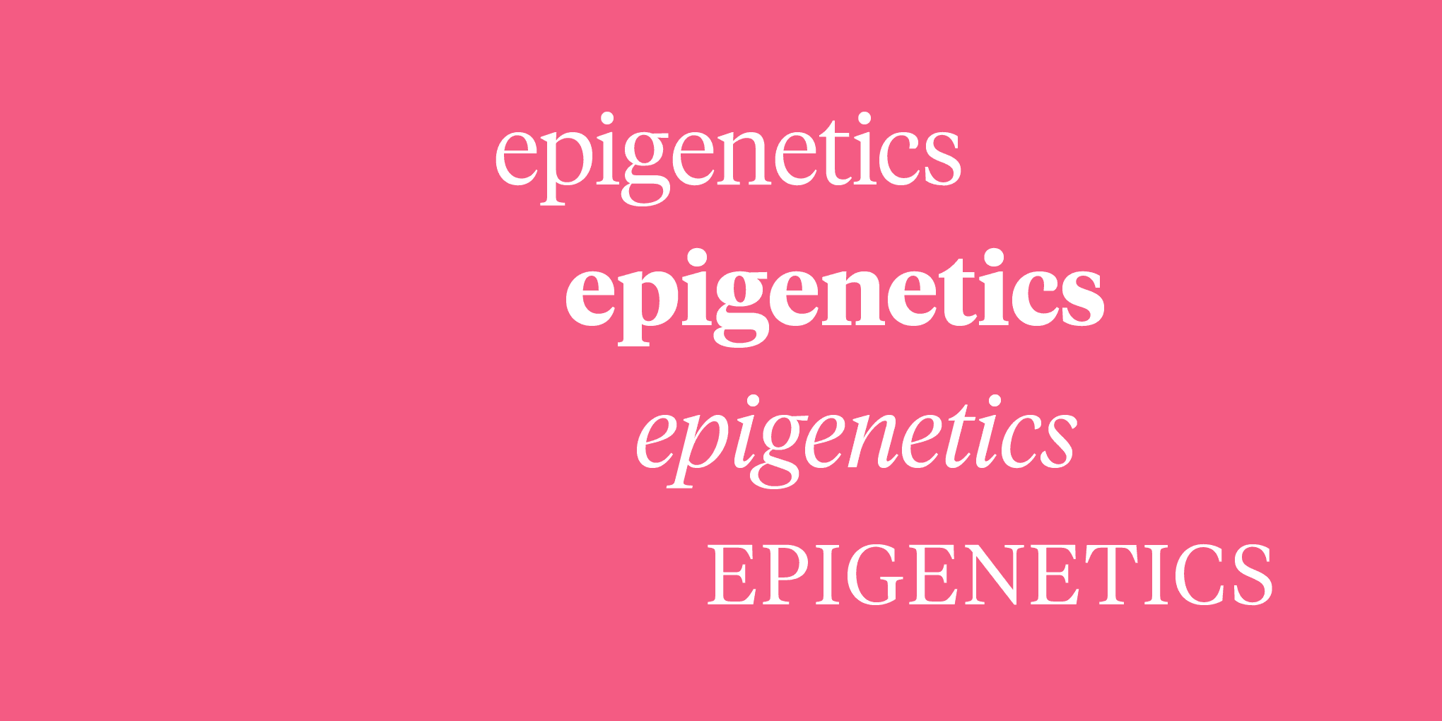 Epigenetics: Reading between the lines of your DNA | Helix