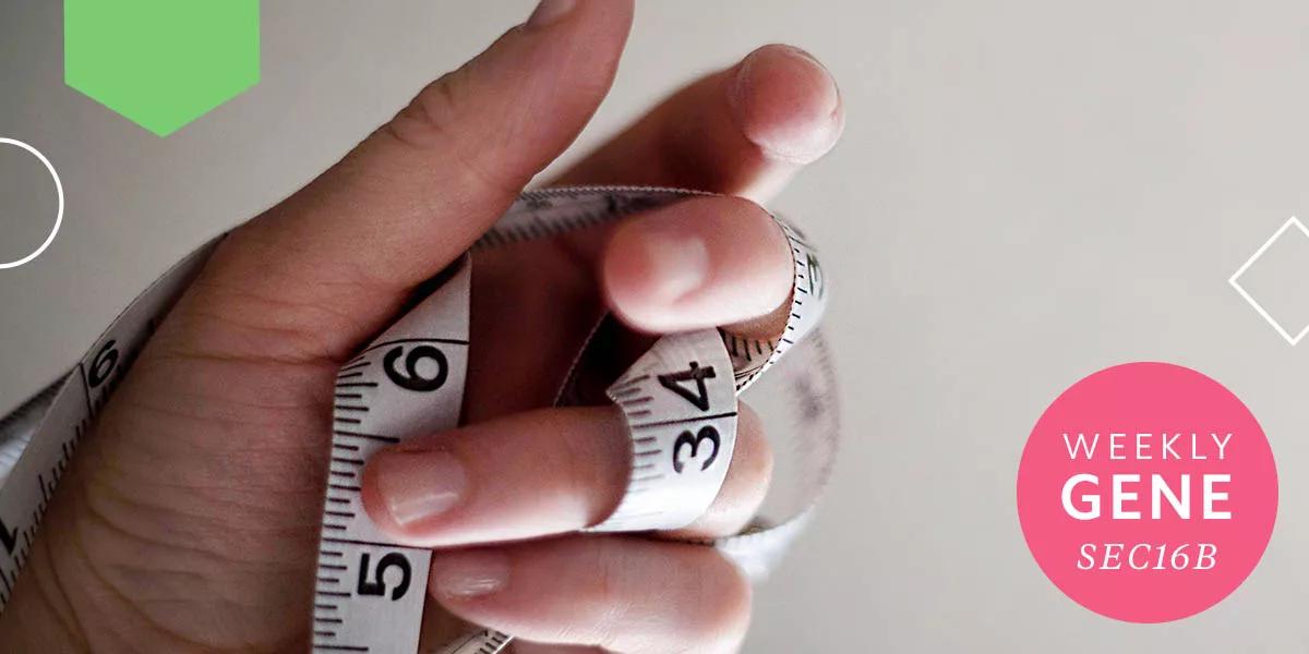 How are genetics and body mass index (BMI) connected? | Helix